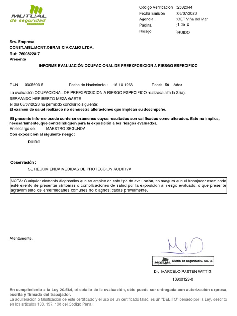 Informe de Evaluación Ocupacional: Riesgo Ruido | PDF | Causas de la ...