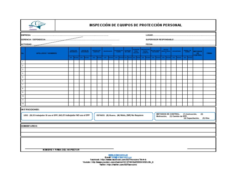 Formato Inspeccion de EPP | PDF