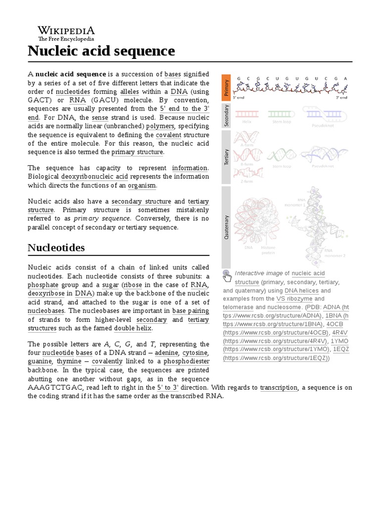 Nucleic Acid Sequence | PDF | Nucleic Acid Sequence | Sequence Alignment