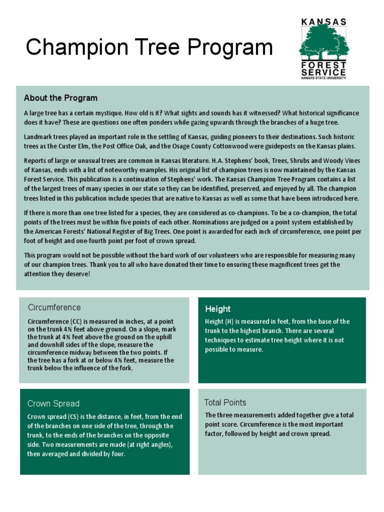 Champion Tree Report 7.13.23 | PDF | Oak | Trees