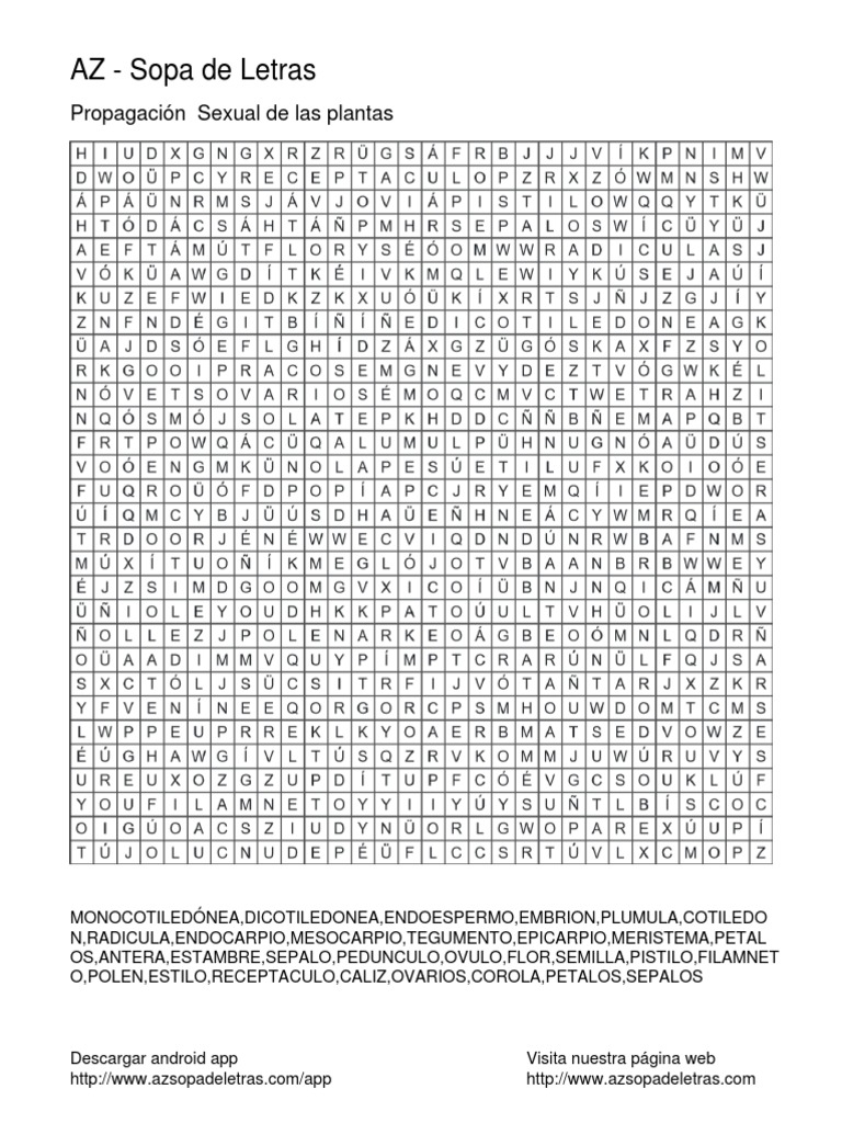 Sopa de Letras: Partes de la Flor | PDF | Ciencia y matemáticas