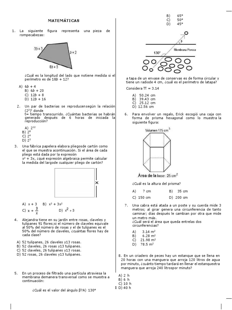 Examen Tercero de Secundaria | PDF | Matemáticas
