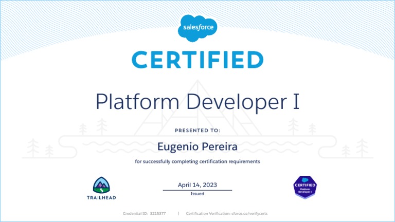 Platform Developer I | PDF | Career & Growth