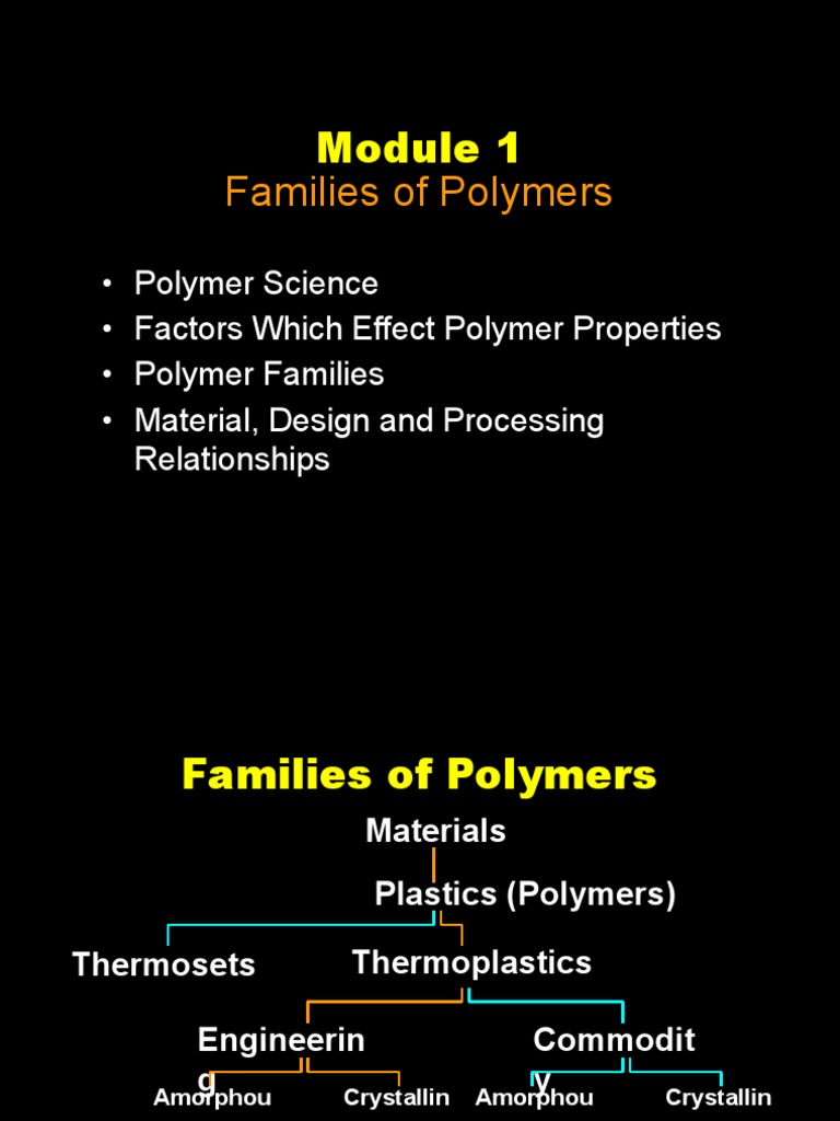 STK-Module 1 Understanding Families of Polymers | PDF