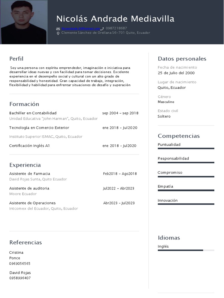 CURRICULUM VITAE Nicolas Andrade Mediavilla | PDF