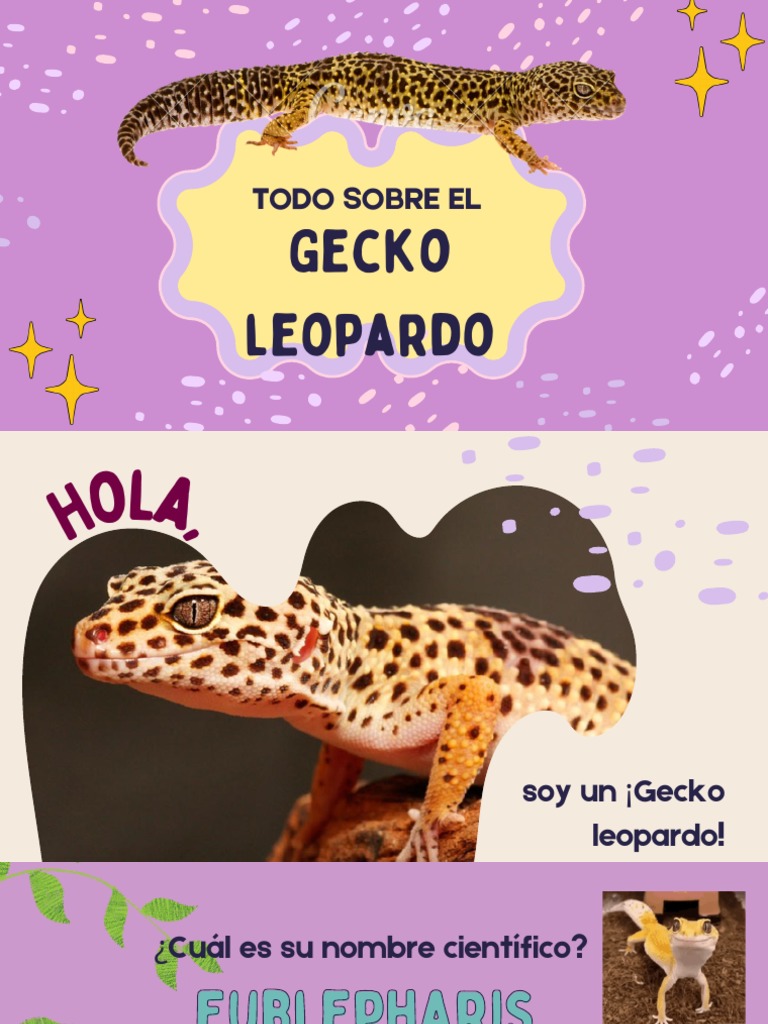 Gecko Leopardo | PDF