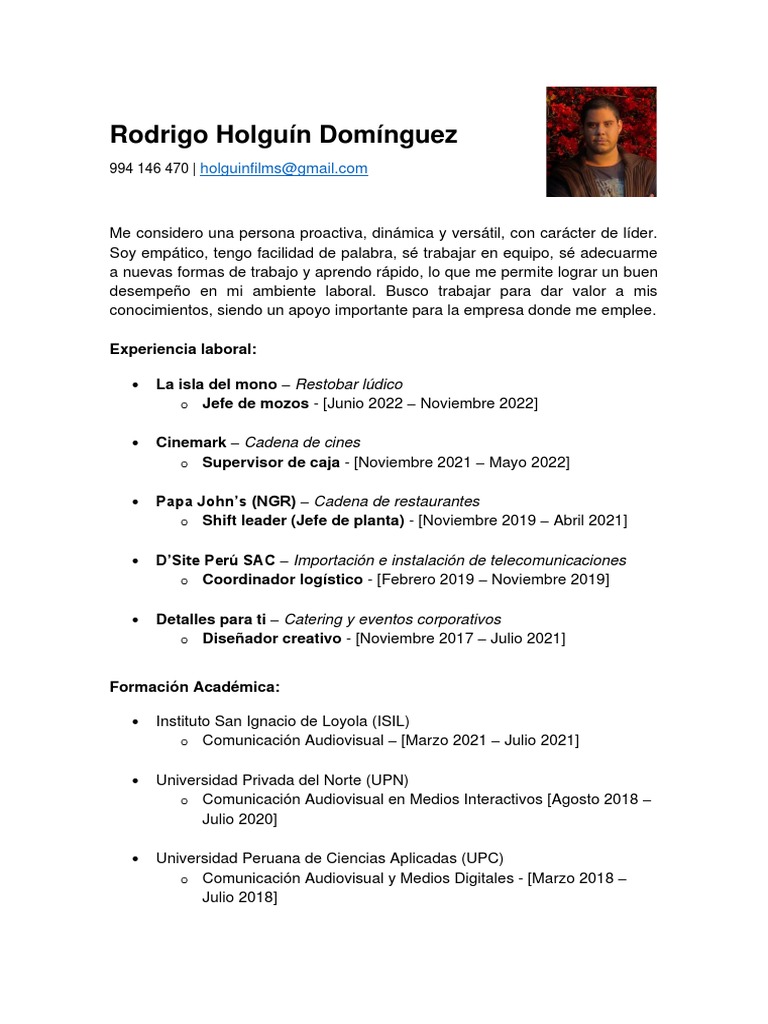 CV Rodrigo Holguín Dominguez | PDF