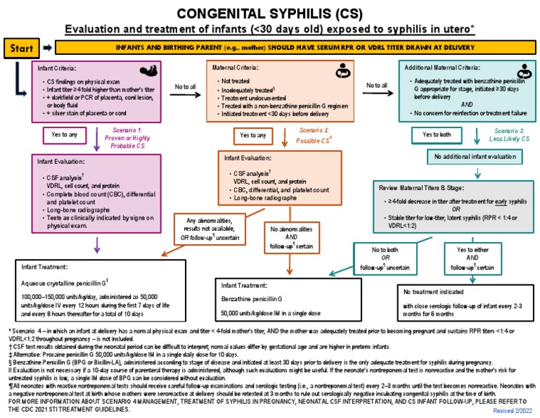 CS Algorithm | PDF | Urological Conditions | Mycoplasma