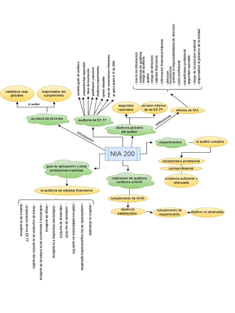 Mapa Mental Nia 200, 300 y 315 | PDF | Auditoría | Contralor