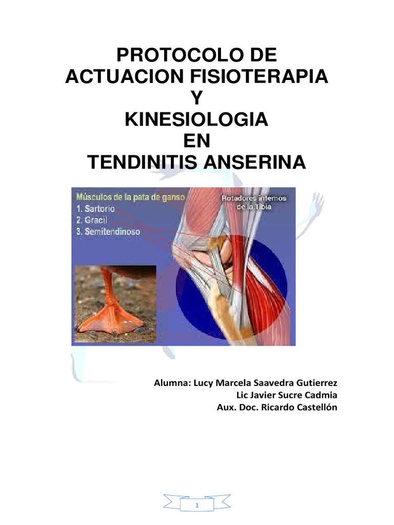 Protocolo Tendinitis Anserina | PDF | Rodilla | Tendón