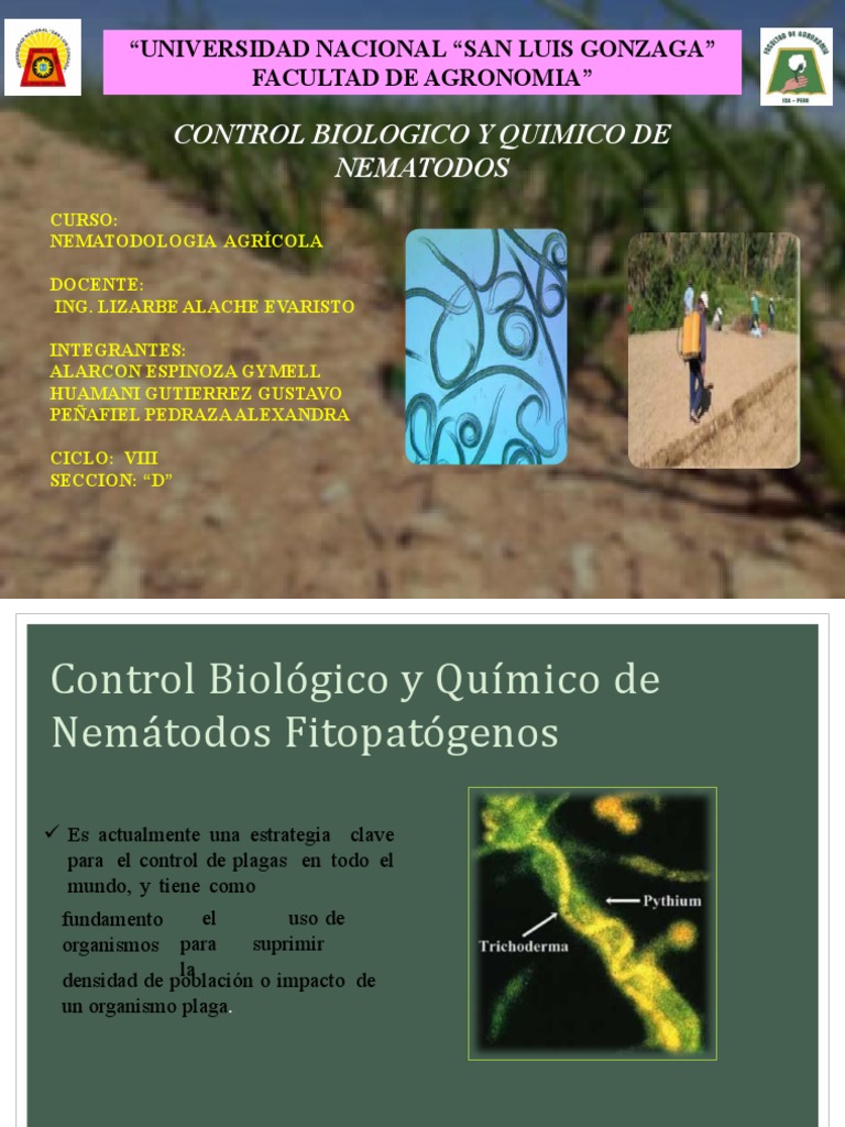 Control Biológico de Nemátodos | PDF | Hongo | Control biológico de plagas