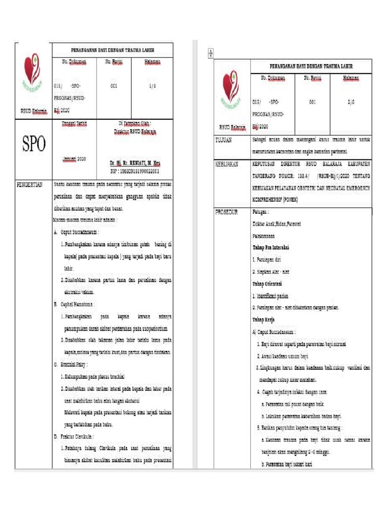 SOP presentasi Simatneo | PDF