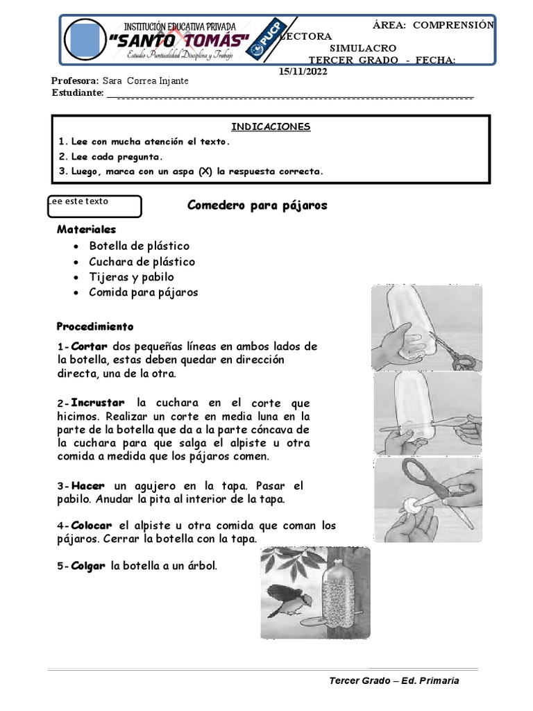 Simulacro - Comprension Lectora - Tercer Grado | PDF | Araña | Depredación