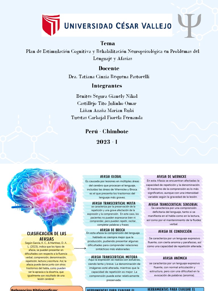 Clasificación de Las Afasias | PDF | Afasia | Neuropsicología