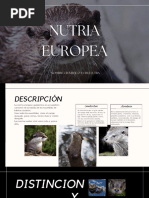 Nutrias: Hábitos, Alimentación y Reproducción | PDF | Nutria | Agua