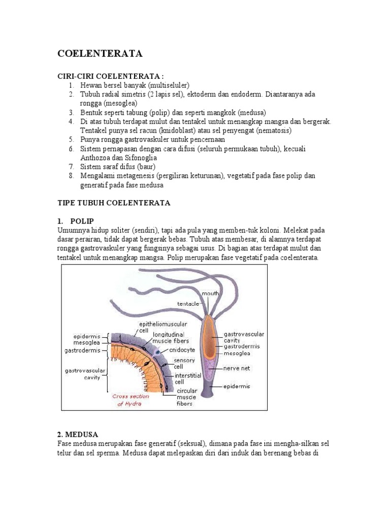 COELENTERATA | PDF | Ilmu Sosial