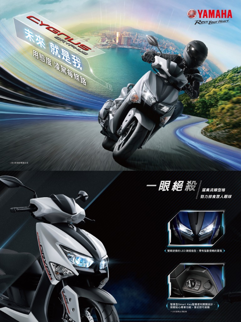 Cygnus Gryphus型錄 | PDF
