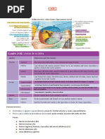 (Anatomía) Triángulos de Pirogoff y Béclard | PDF | Medicina CLINICA ...