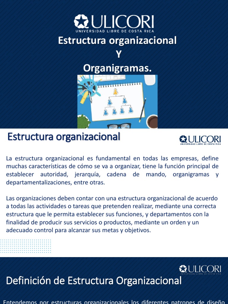 Estructura Organizacional Y Organigramas | PDF | Business | Planificación