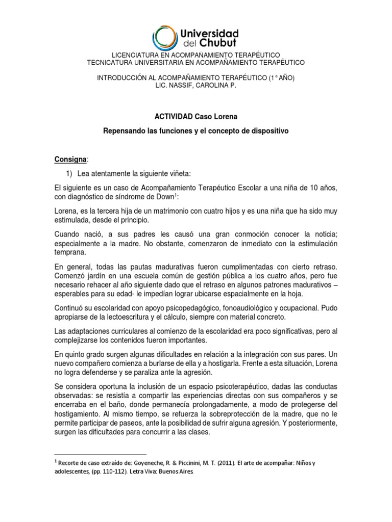 Caso Lorena funciones y elementos del dispositivo | PDF