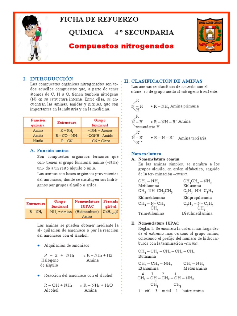 Ficha Compuestos Nitrogenados Pdf Amina Amida 