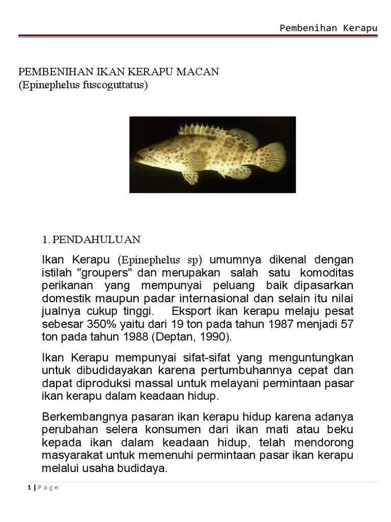 Teknik Pembenihan Ikan Kerapu Macan | PDF