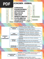 UNIDAD V Acelomados y Pseudocelomados. | PDF