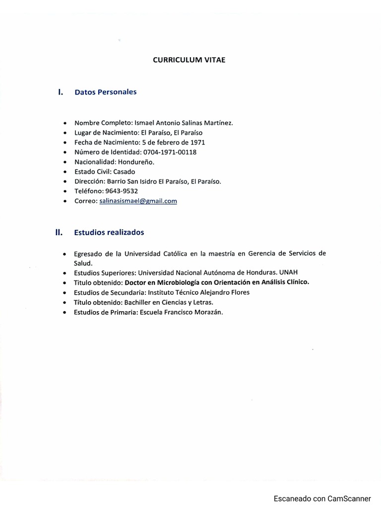 Curruculun Dr. Ismael Salinas | PDF