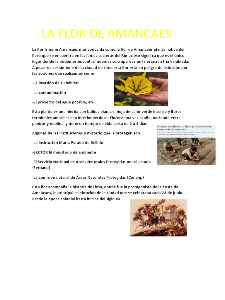 La Flor de Amancaes | PDF