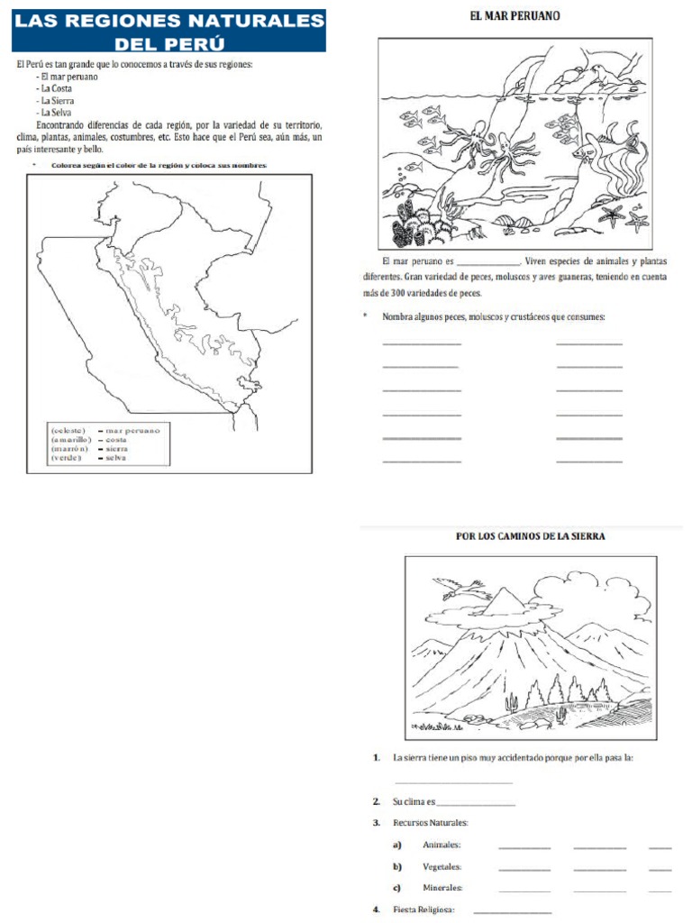 Regiones Naturales Del Peru | PDF