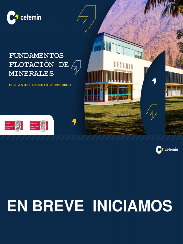 PPT6-Fundamento de Flotacion de Minerales | PDF | Evaluación | Conocimiento procedimental