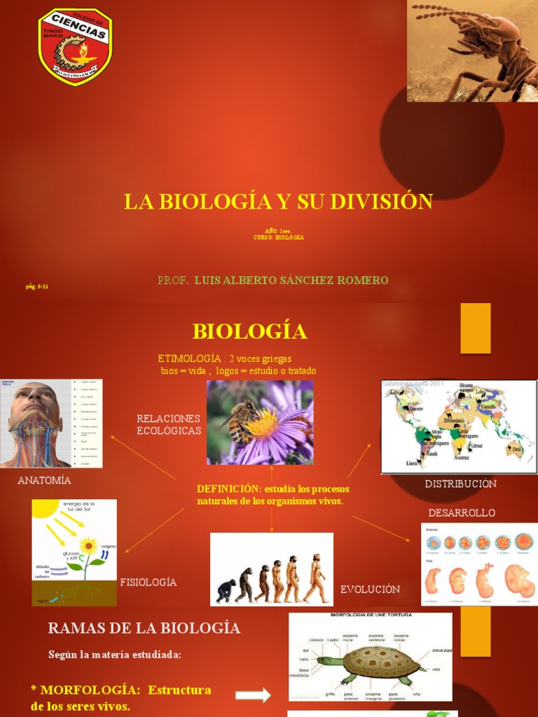 División y Ramas de la Biología | PDF | Biología | Organismos