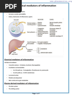 Allersin Syrup/ F Tablet: Amended Package Insert | PDF | Pharmaceutical ...
