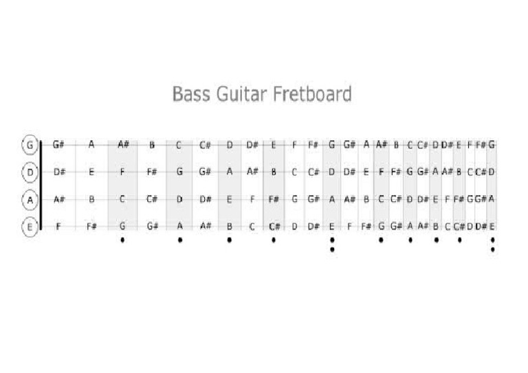 Bass Freatboard | PDF