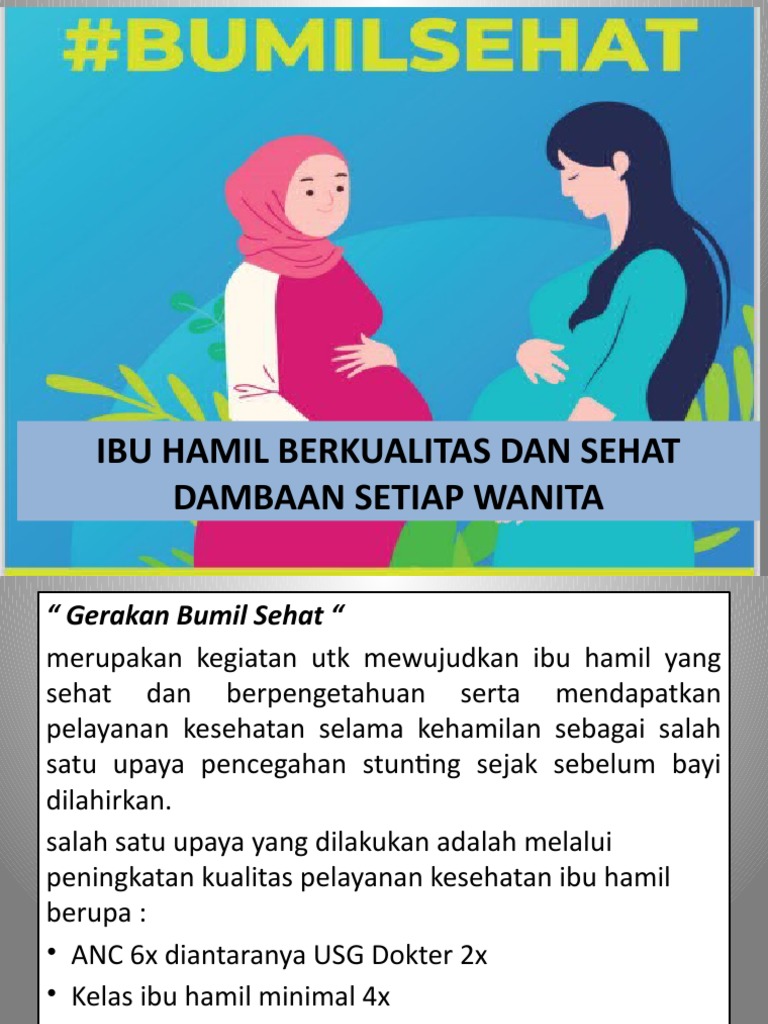 Gerakan Bumil Sehat | PDF