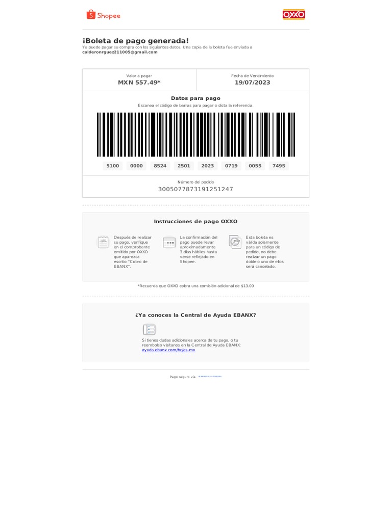 Execute 1 PDF