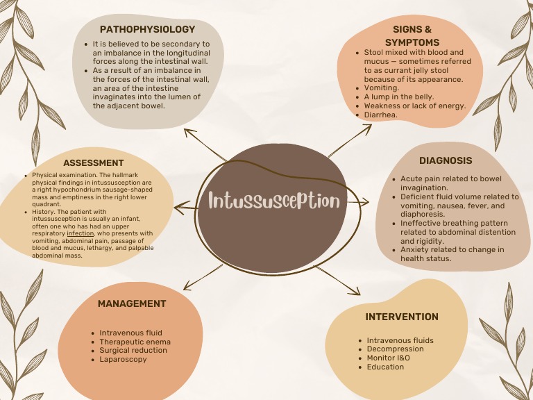 INTUSSUSCEPTION | Download Free PDF | Symptoms And Signs | Medicine