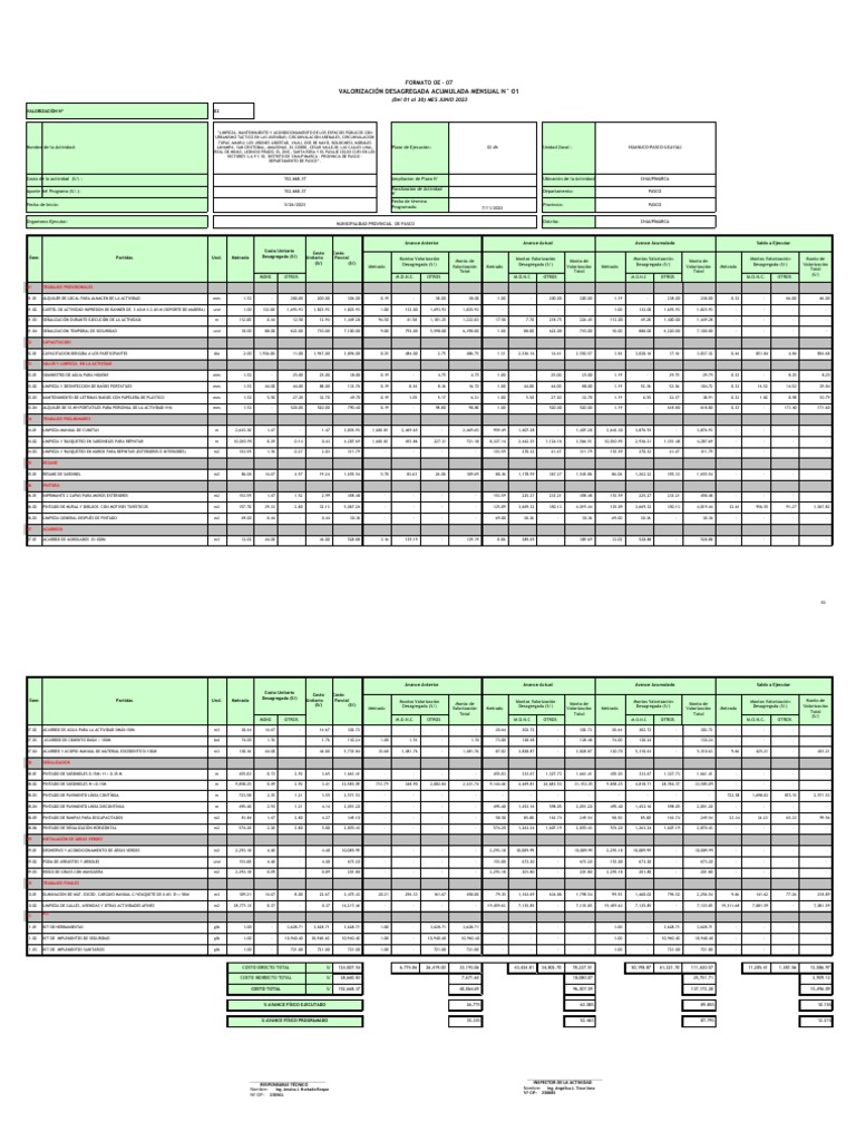 Formatos OE-VALORIZACION JUNIO | PDF