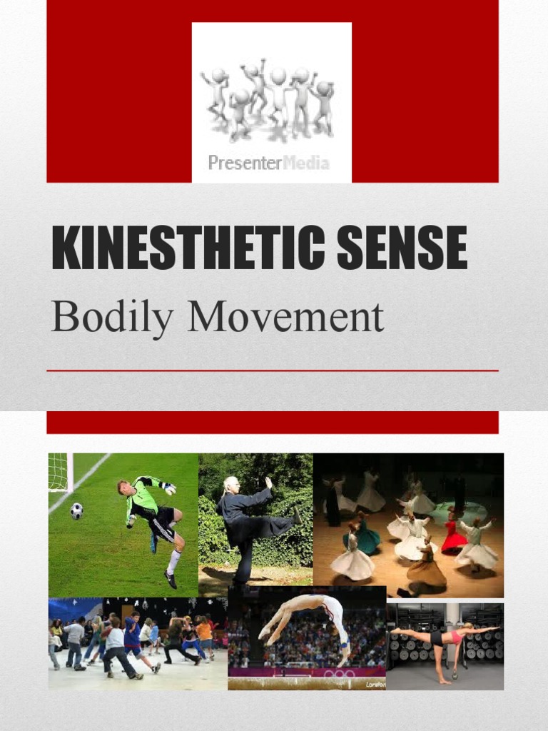 Kinesthetic Sense | PDF