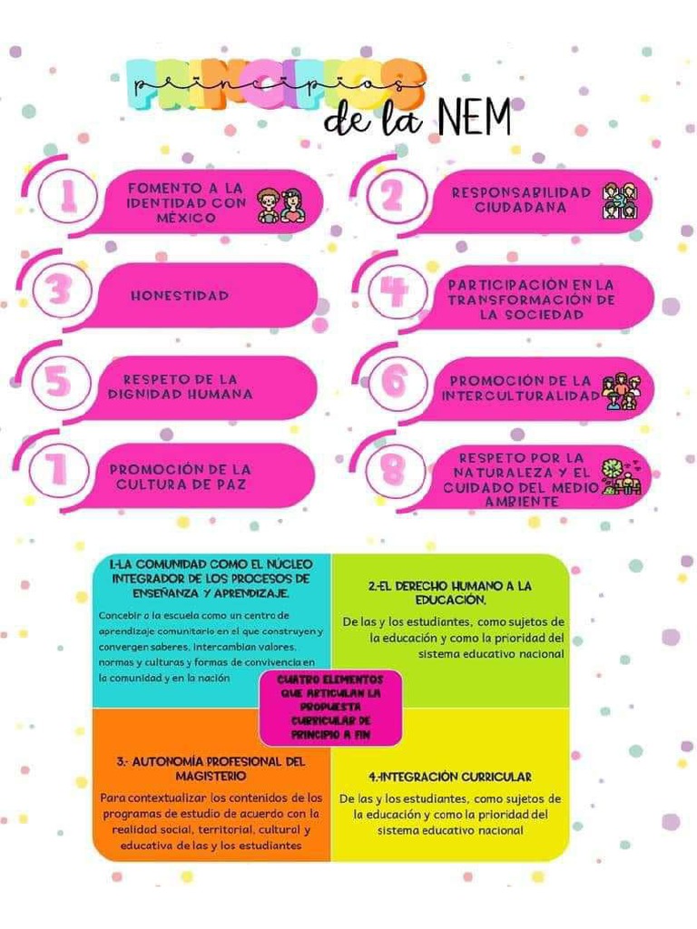 Principios, Principios y Perfil de La NEM | PDF