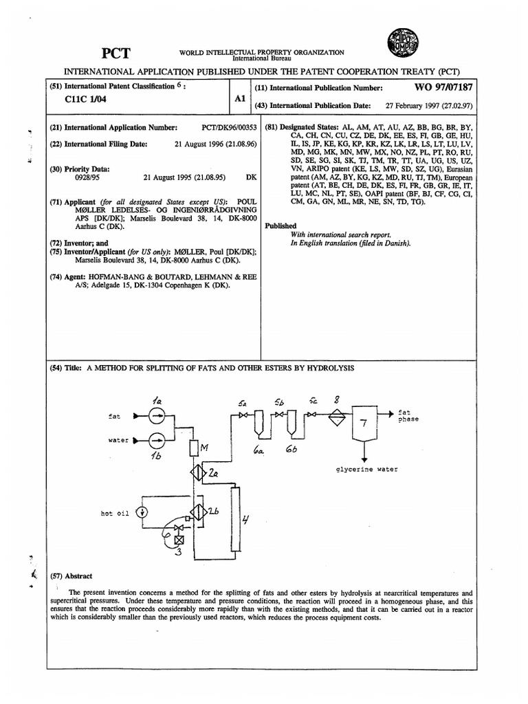 Katalis Fat Splitting | PDF