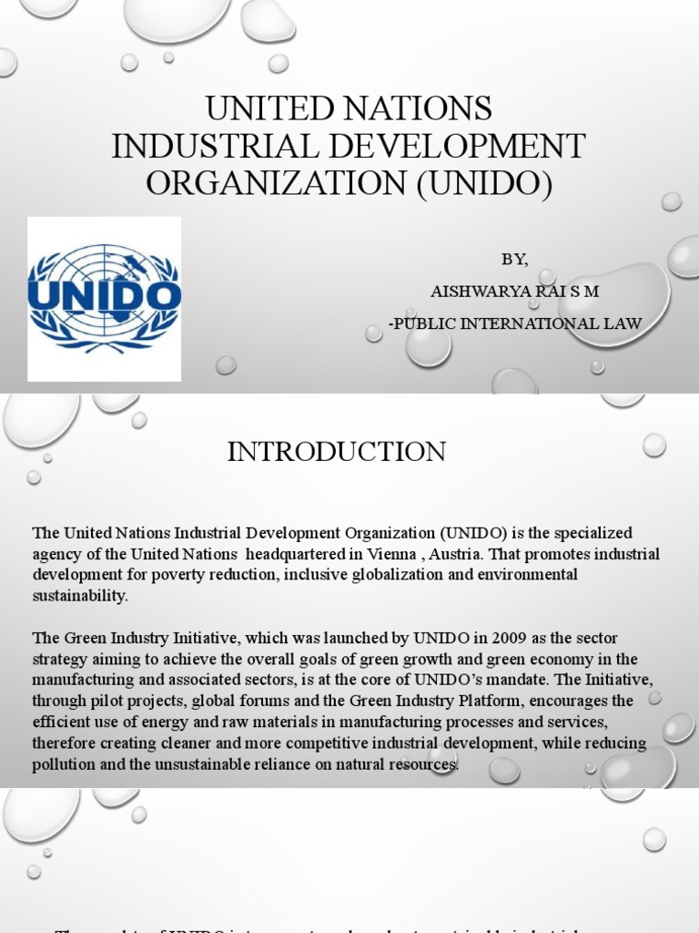 United Nations Industrial Development Organization (Unido) | PDF ...