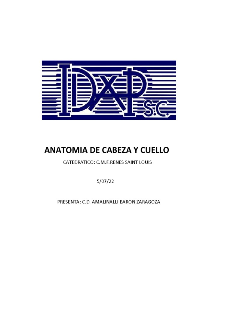 Antomia Cabeza Y Cuello Descargar Gratis Pdf Nariz Humana