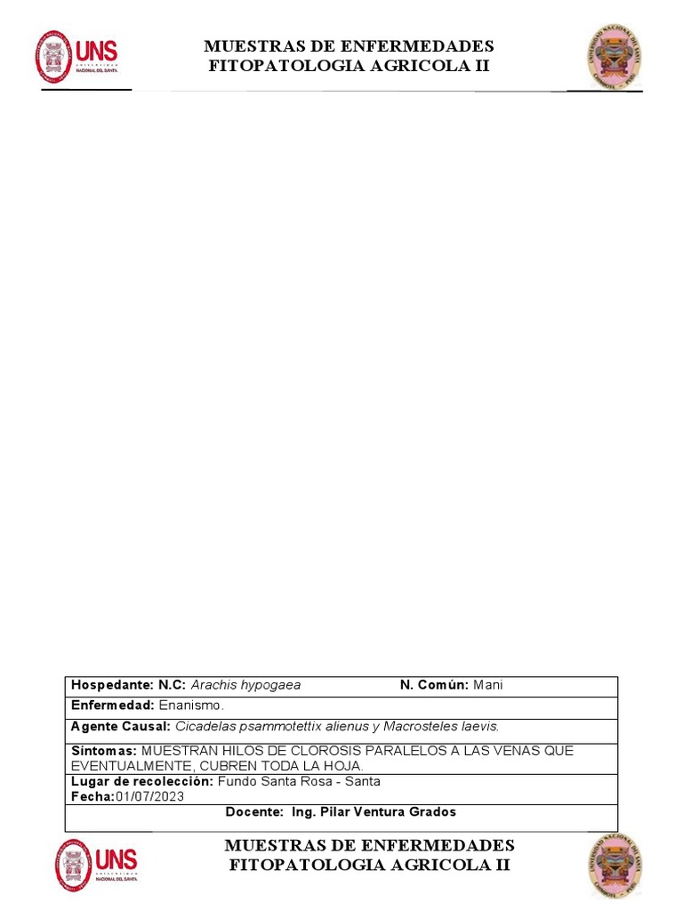 Ficha de Mipe | PDF | Patologia de planta | Miseria