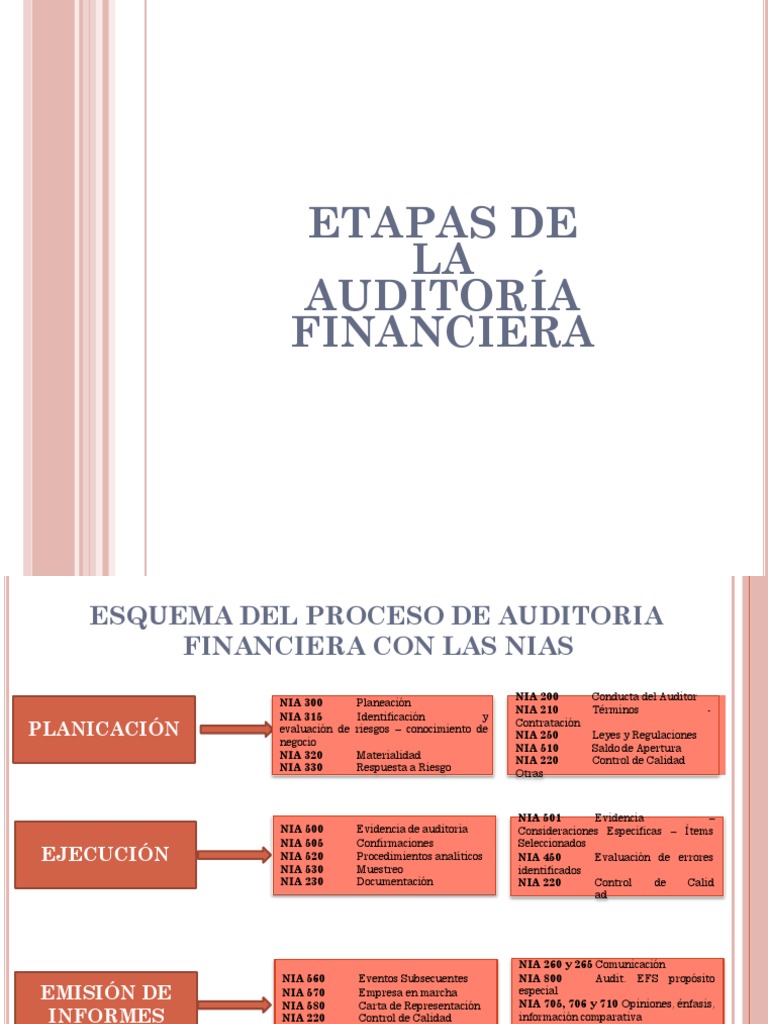 Etapas de La Auditoria | Descargar gratis PDF | Auditoría | Planificación