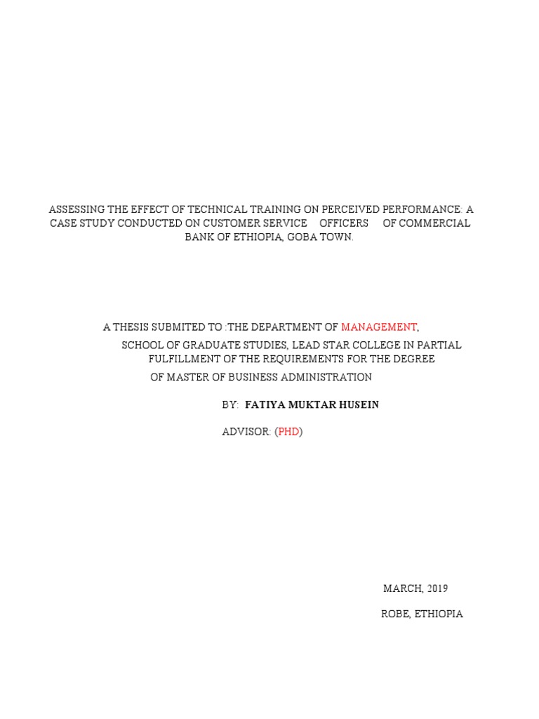 Finalmegersa Mba Thesis | PDF | Employment | Learning