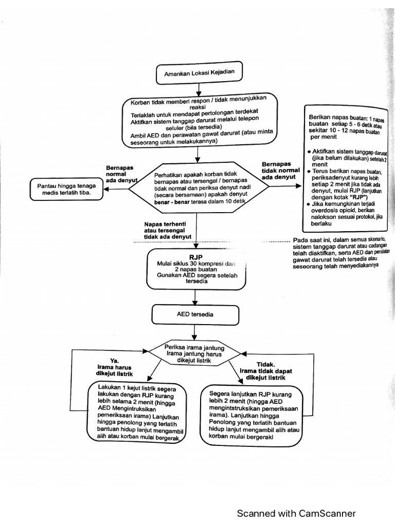 Algoritma ACLS | PDF
