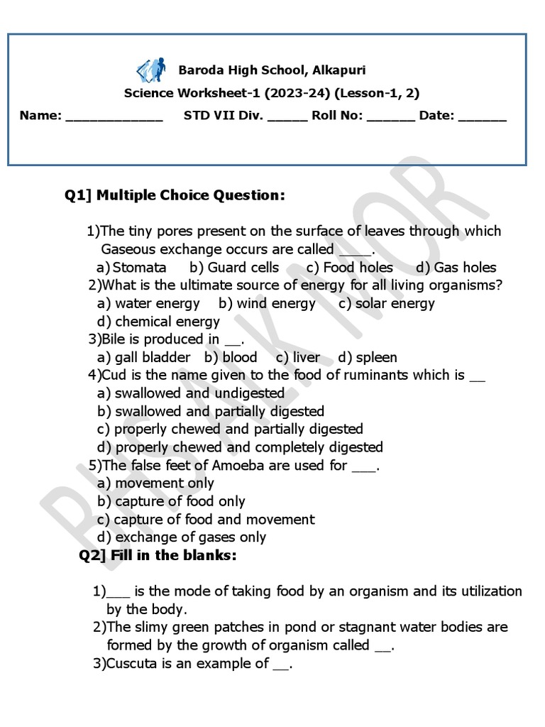 STD 7 Science Worksheet | PDF | Thermometer | Digestion