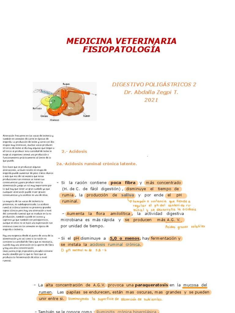 Acidosis Ruminal en Poligástricos | PDF | Ácido láctico | Vacas