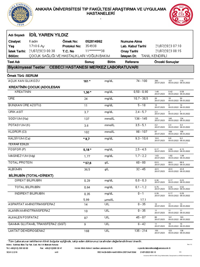 İdil Yaren YILDIZ | PDF
